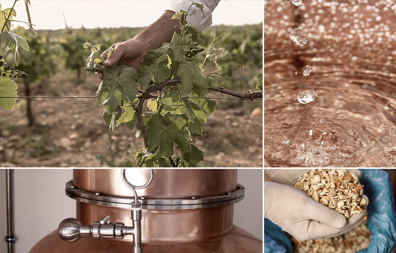 The story of Adamus Dry Gin and our Distillery - The complete story ...